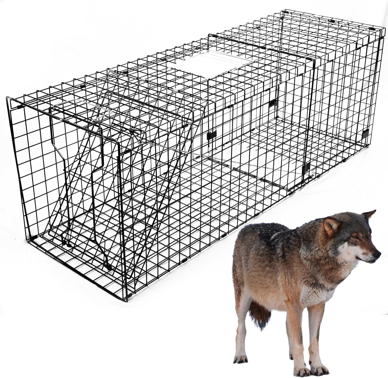 Amazon.com : Heavy Duty Live Trap 59x20x22 Inch Extra Large Steel Collapsible with Humane Trap ...