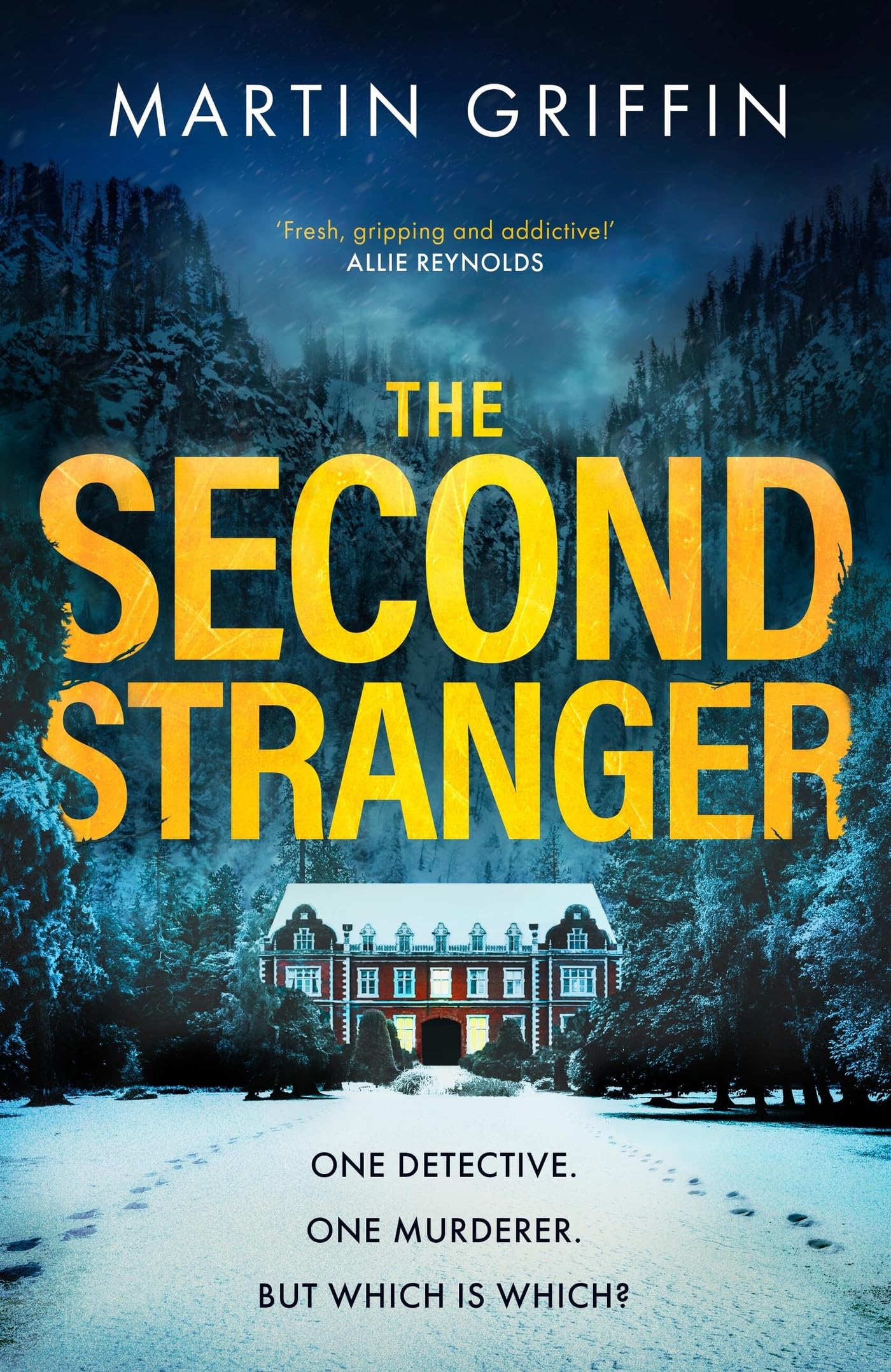 The Second Stranger: One detective. One murderer. But which is which?: Griffin, Martin ...