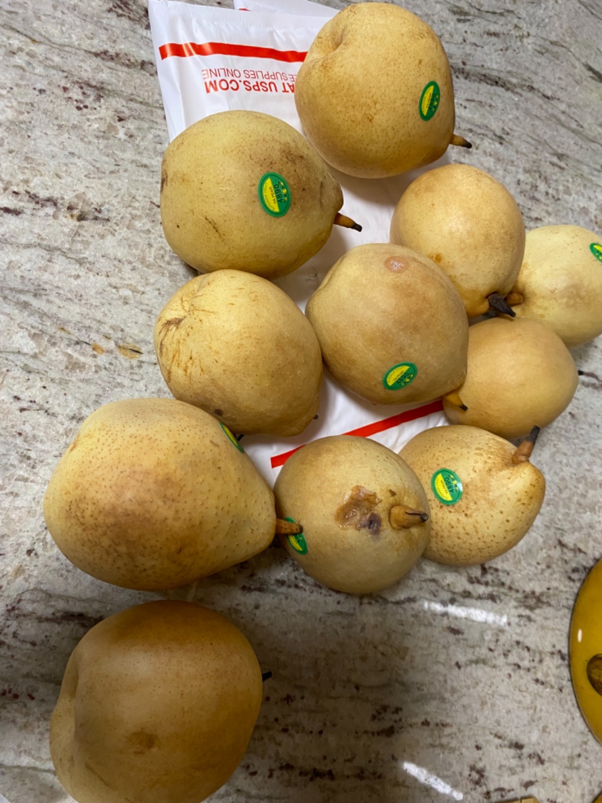 Amazon.com: Asian Pears - 5lbs : Grocery & Gourmet Food