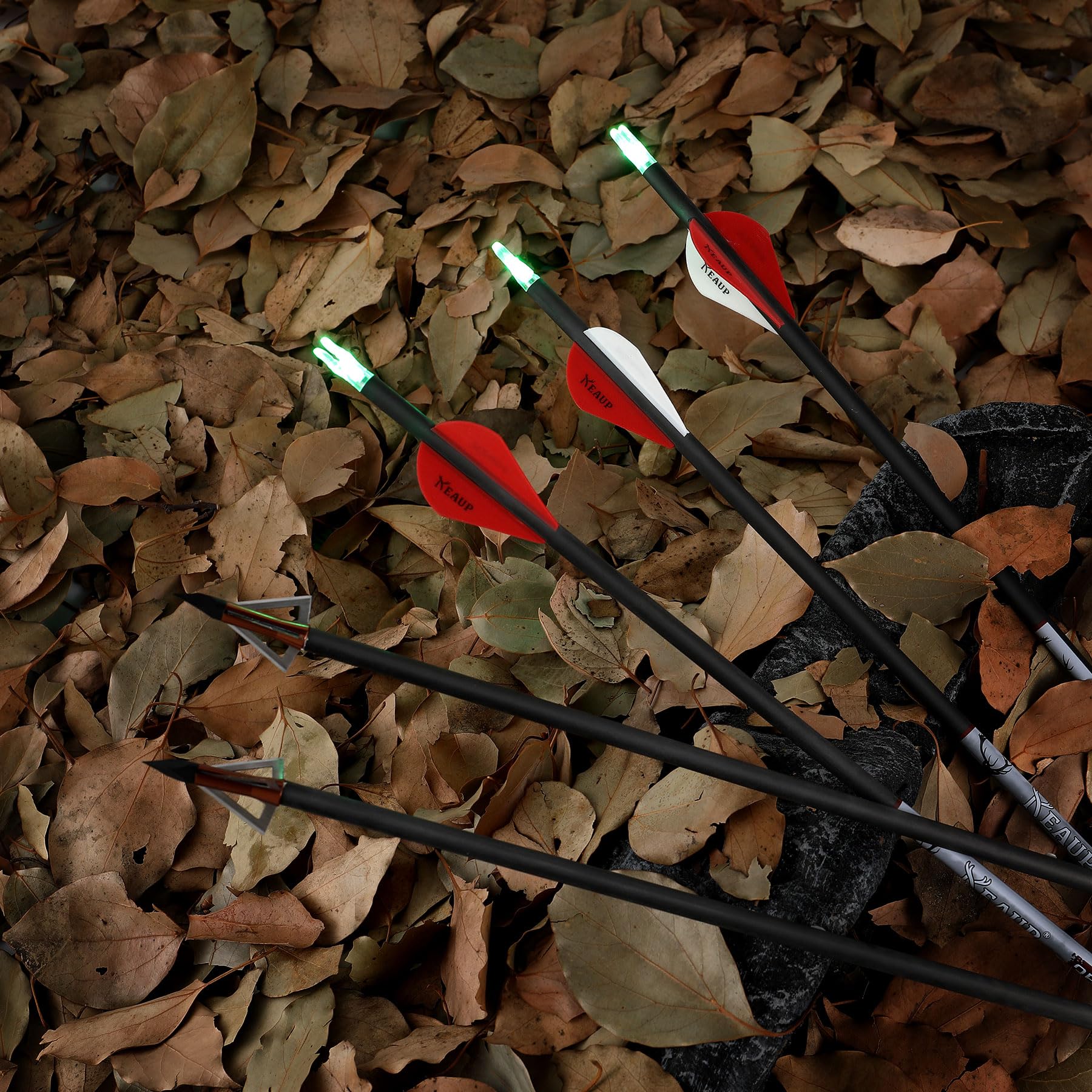 Snapklik.com : 6 Pack 31 Inch Carbon Arrows