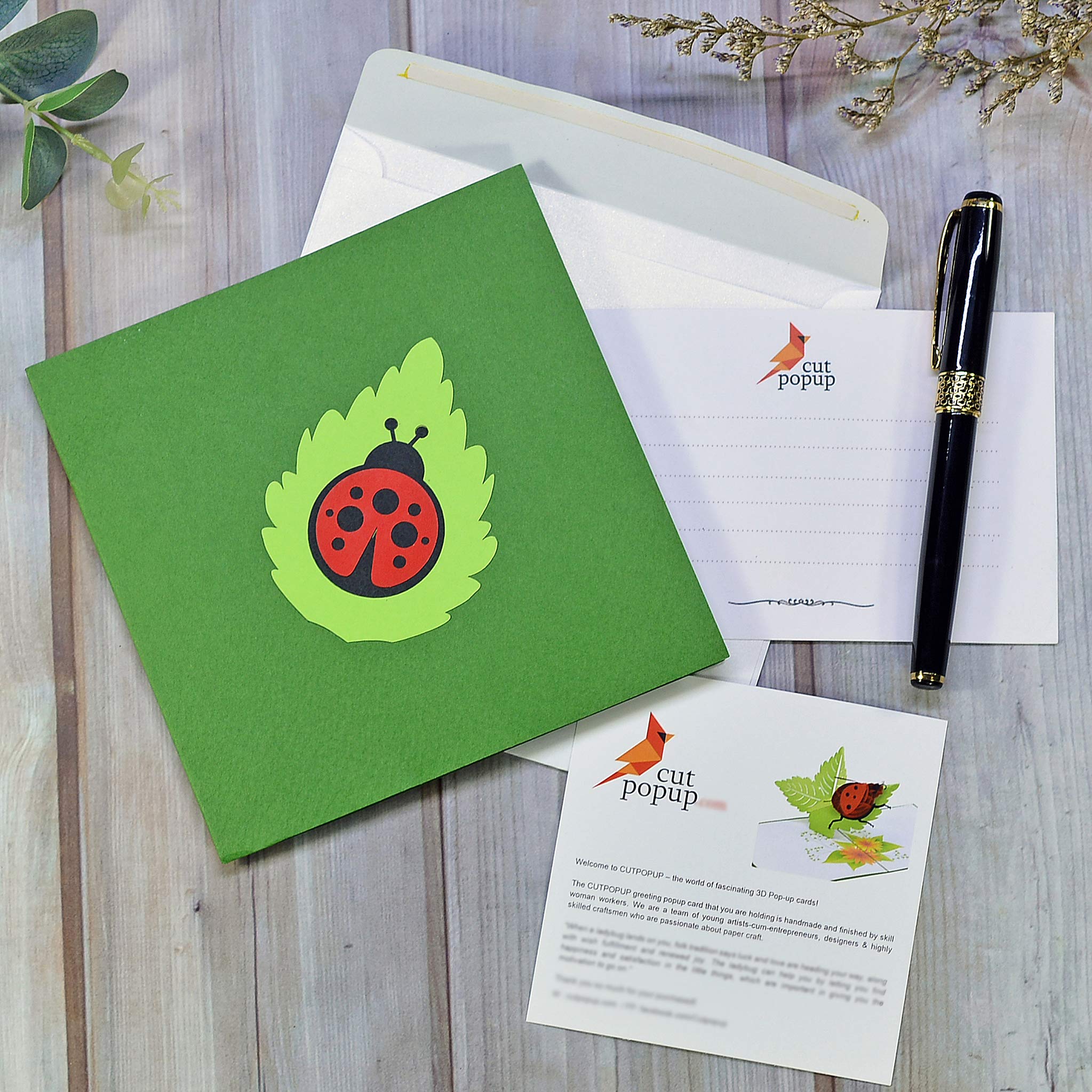 Ladybug Cards