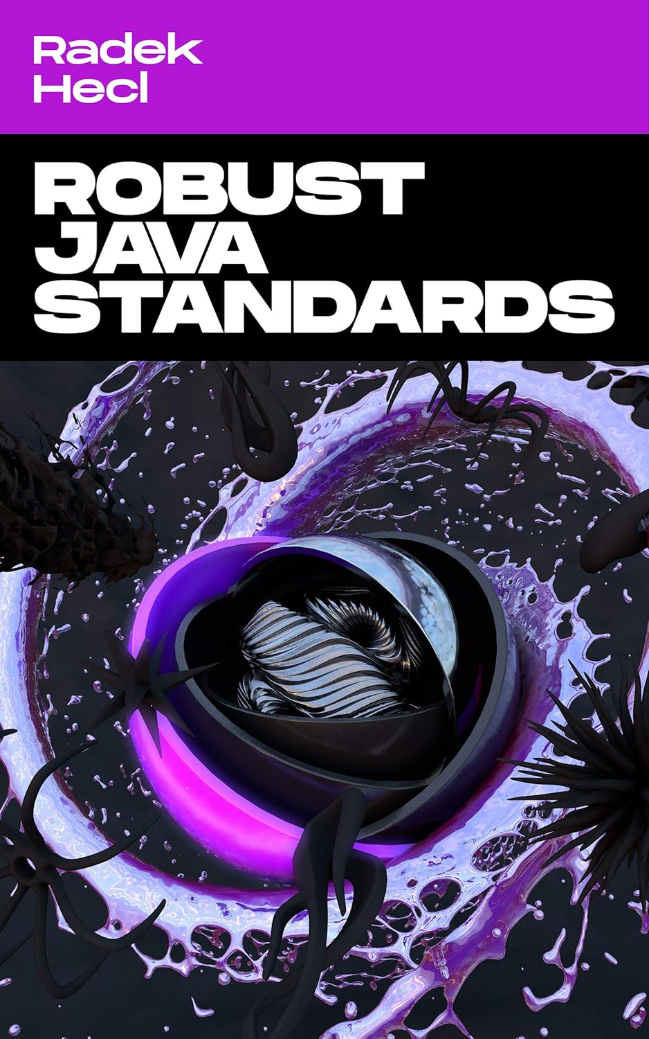 Robust Java Standards 1, Hecl, Radek, eBook - Amazon.com