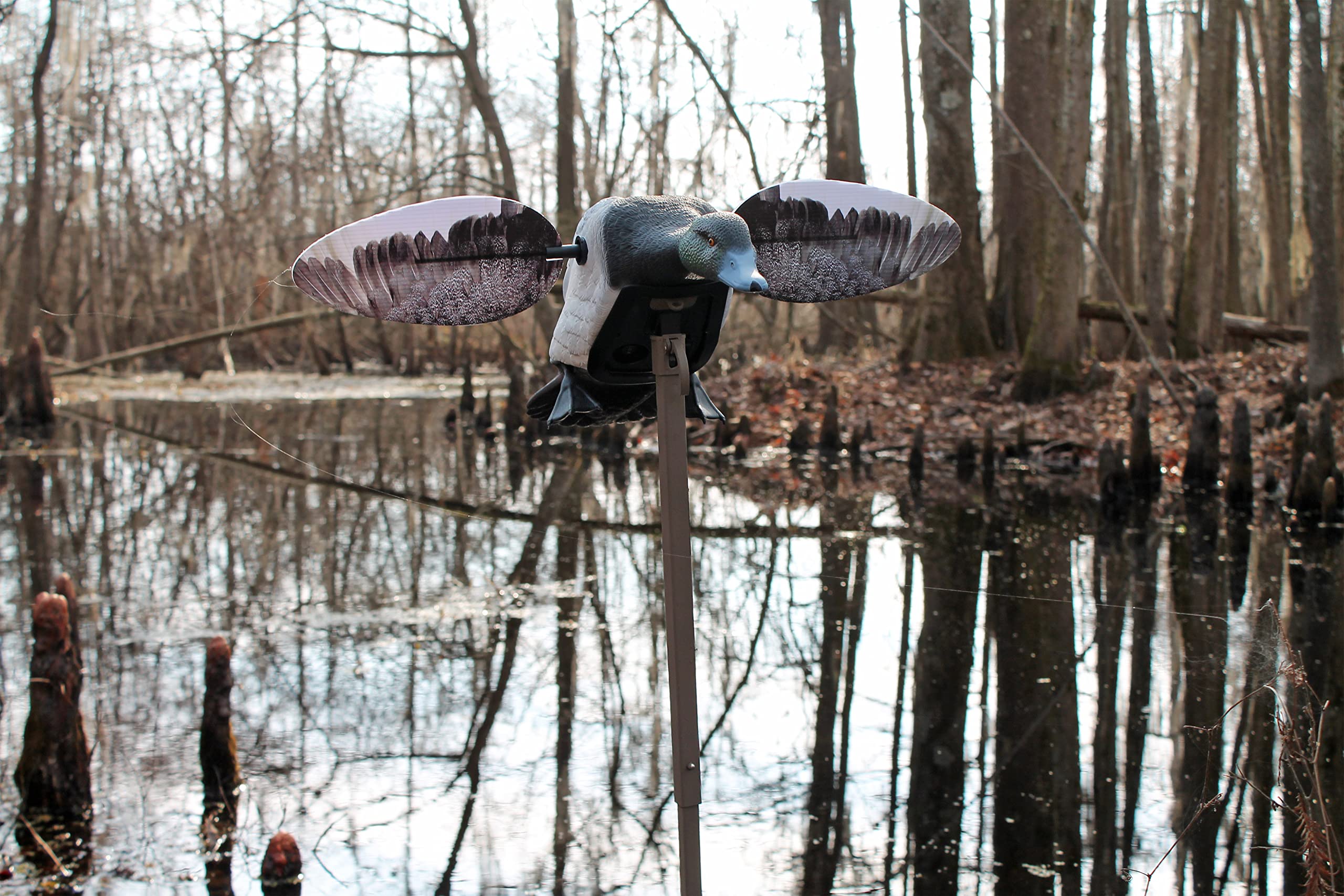 MOJO Elite Series Diver Spinning Wing Duck Decoy, Duck Hunting Gear and ...