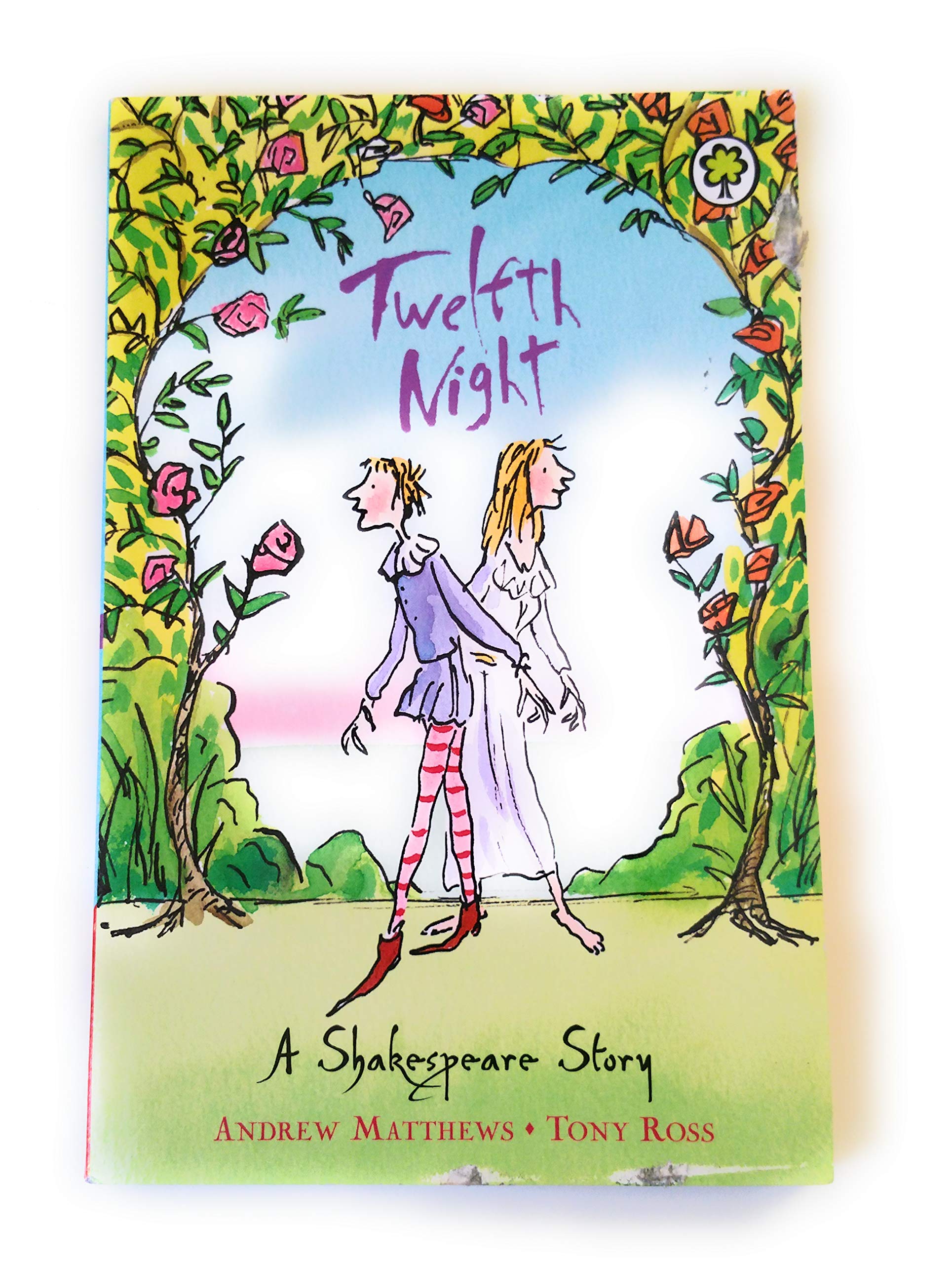 Twelfth Night (A Shakespeare Story): Amazon.co.uk: Andrew Matthews ...