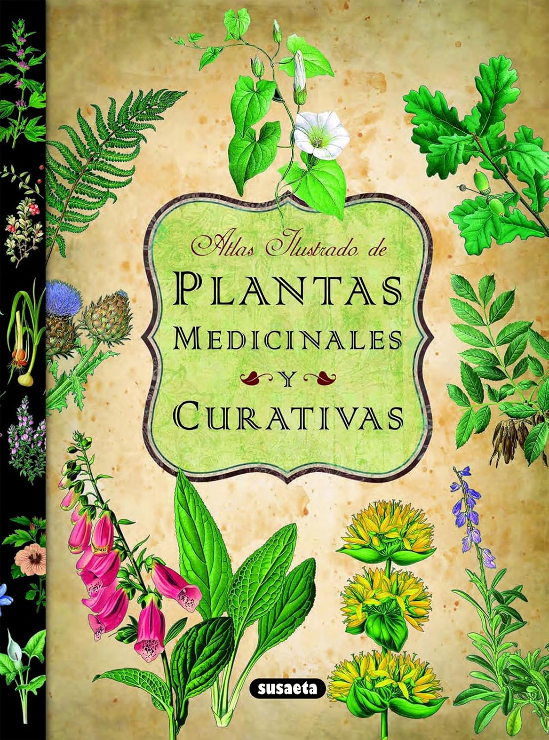 Plantas Medicinales Y Curativas (Atlas Ilustrado) (Spanish Edition ...