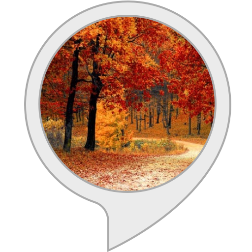 Amazon.com: Read poem : Alexa Skills