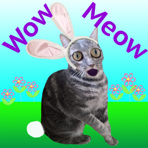 Wow Meow Bunny Cat - App on Amazon Appstore