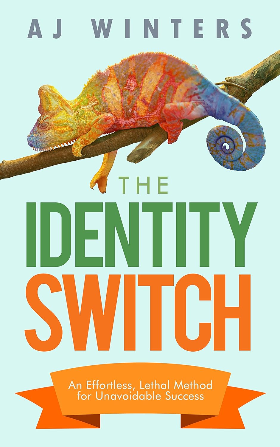 Amazon.com: The Identity Switch: An Effortless, Lethal Method for ...