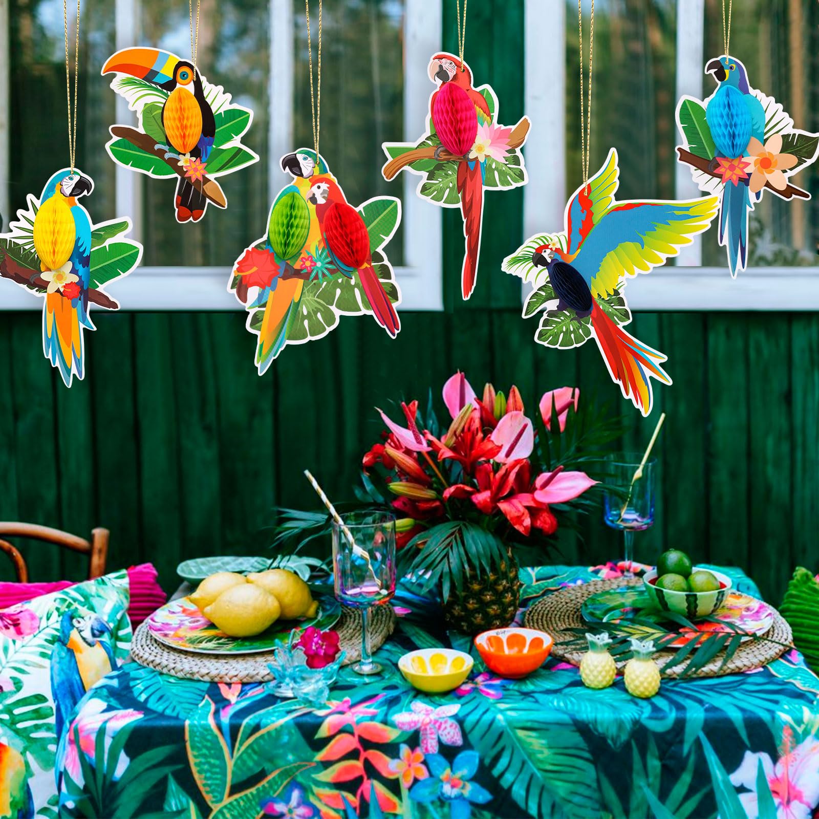Snapklik.com : 6 Pcs Tropical Birds Honeycombs, Parrot Honeycomb ...