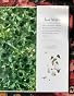 Florette: A Beautiful Picture Book About the Magic of Nature and ...