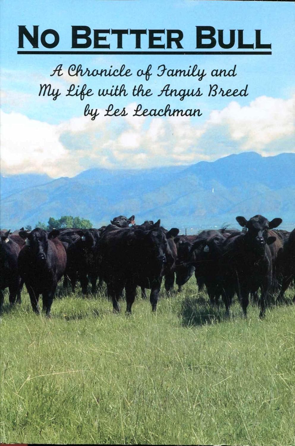 No Better Bull: Leachman, Les, Illustrated: 9780974441603: Amazon.com ...