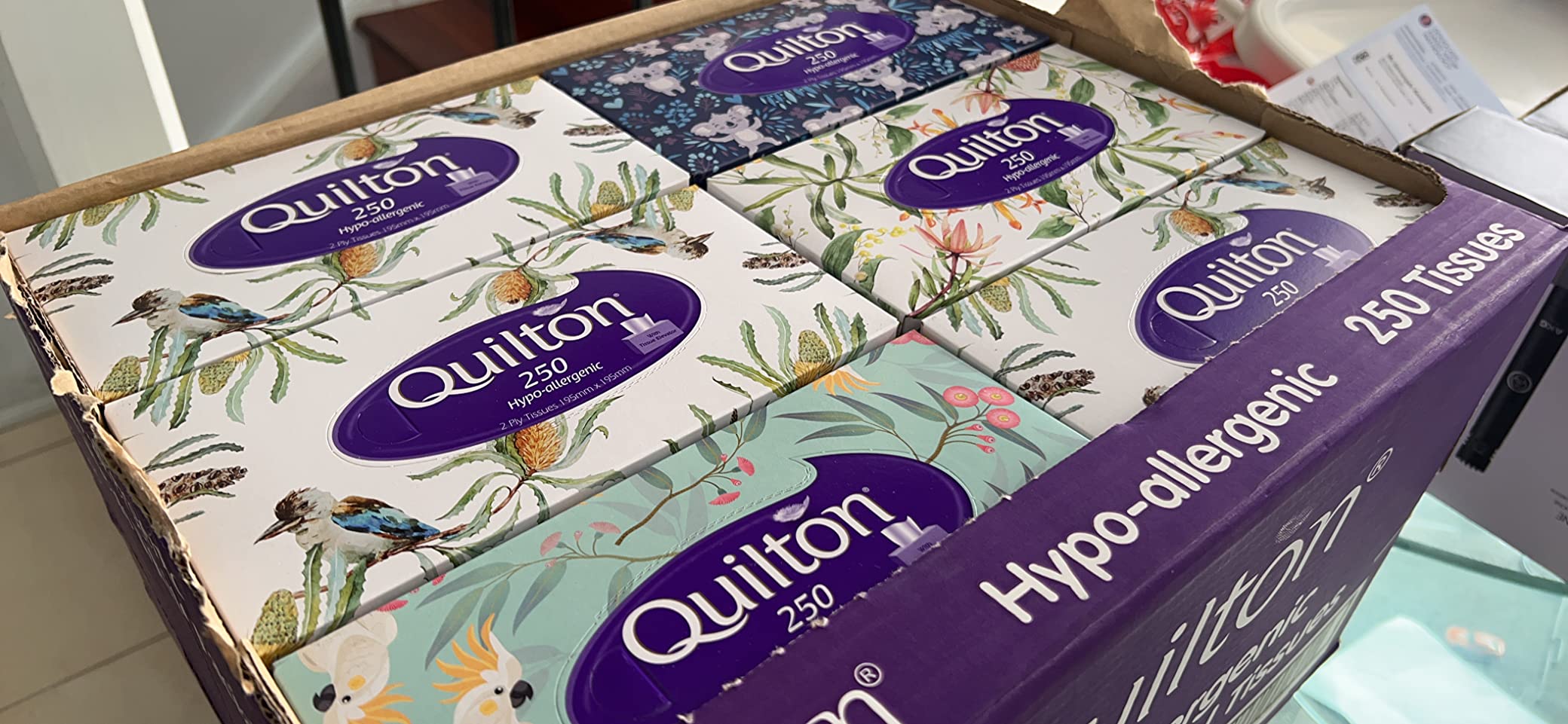 Quilton Hypo Allergenic 2 Ply 250 Facial Tissues Pack, 12 packs ...