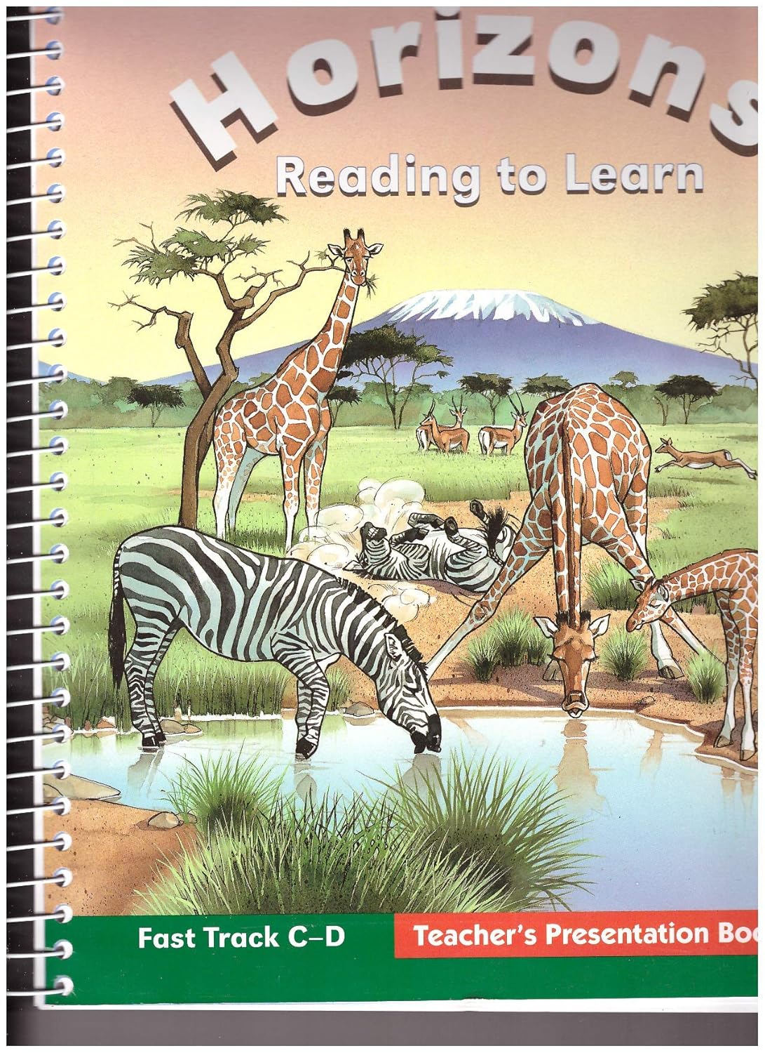Horizons Reading to Learn (Fast Track C-D, Teacher's Presentation Book ...