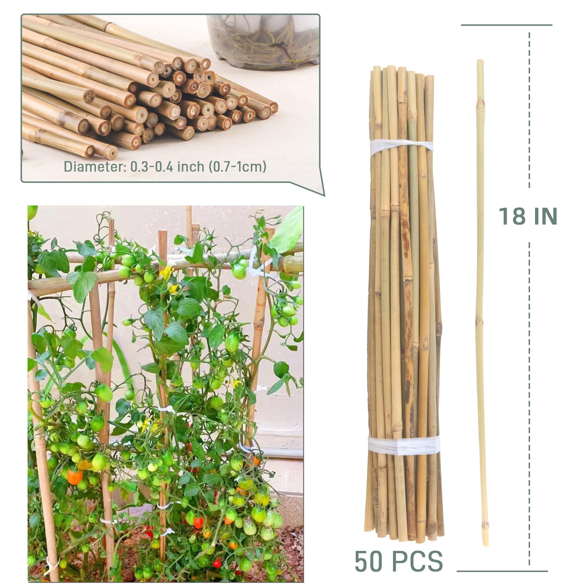 Snapklik.com : 50Pcs / 18 Inch Bamboo Plant Stakes For Indoor Outdoor ...