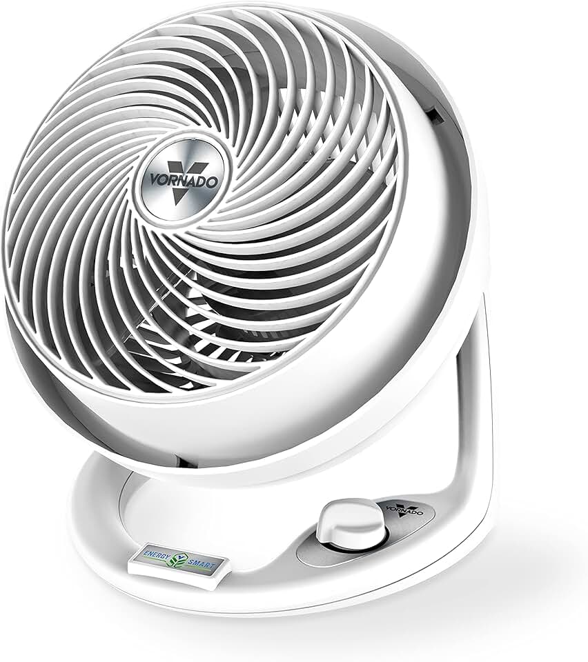 Amazon.com: fan