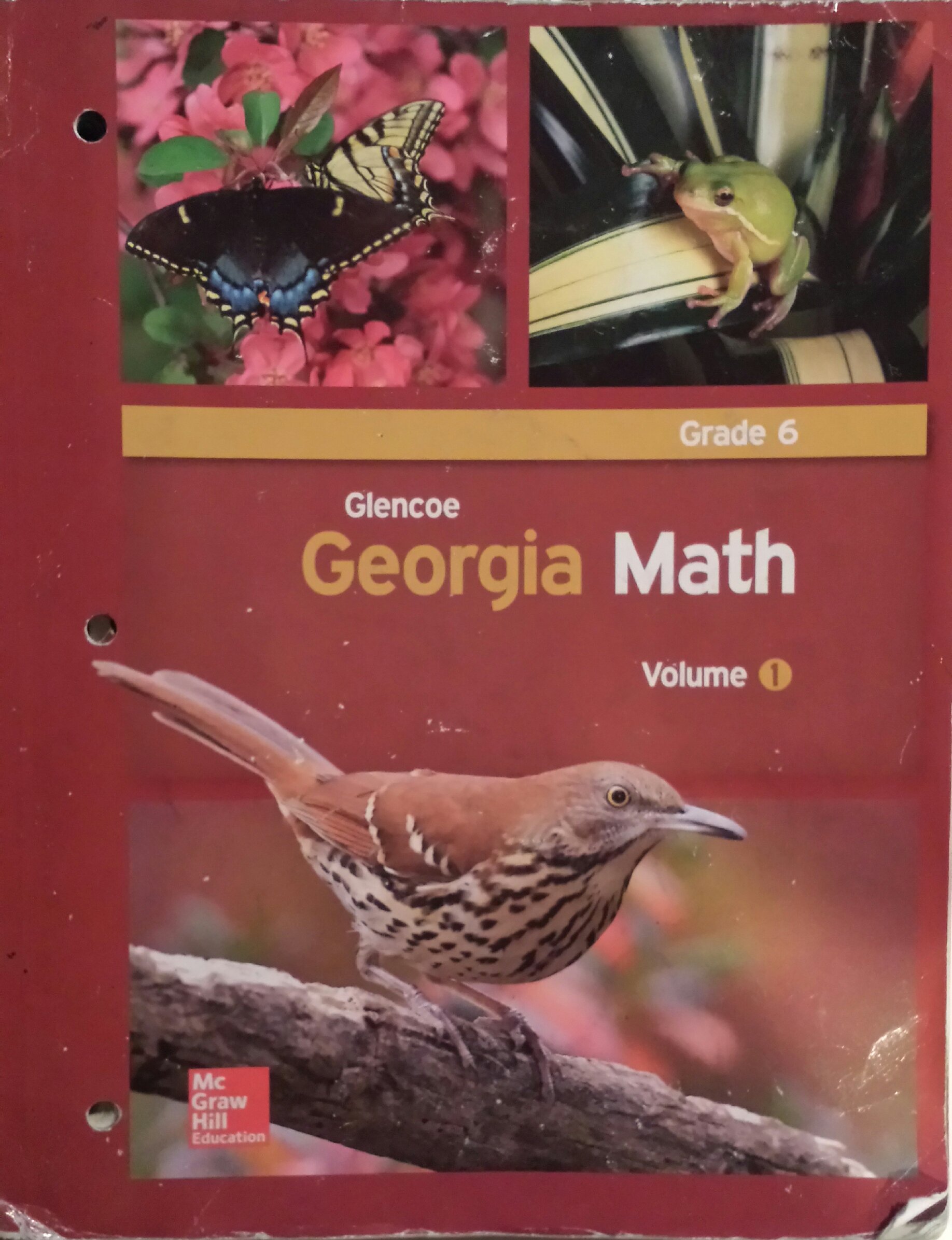 Glencoe Georgia Math Grade 6 Volume 1: McGraw-Hill: Amazon.com: Books