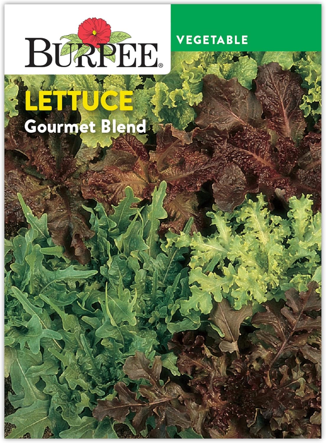 Amazon.com : Burpee Gourmet Blend Lettuce Seeds, Non-GMO Green Leaf ...