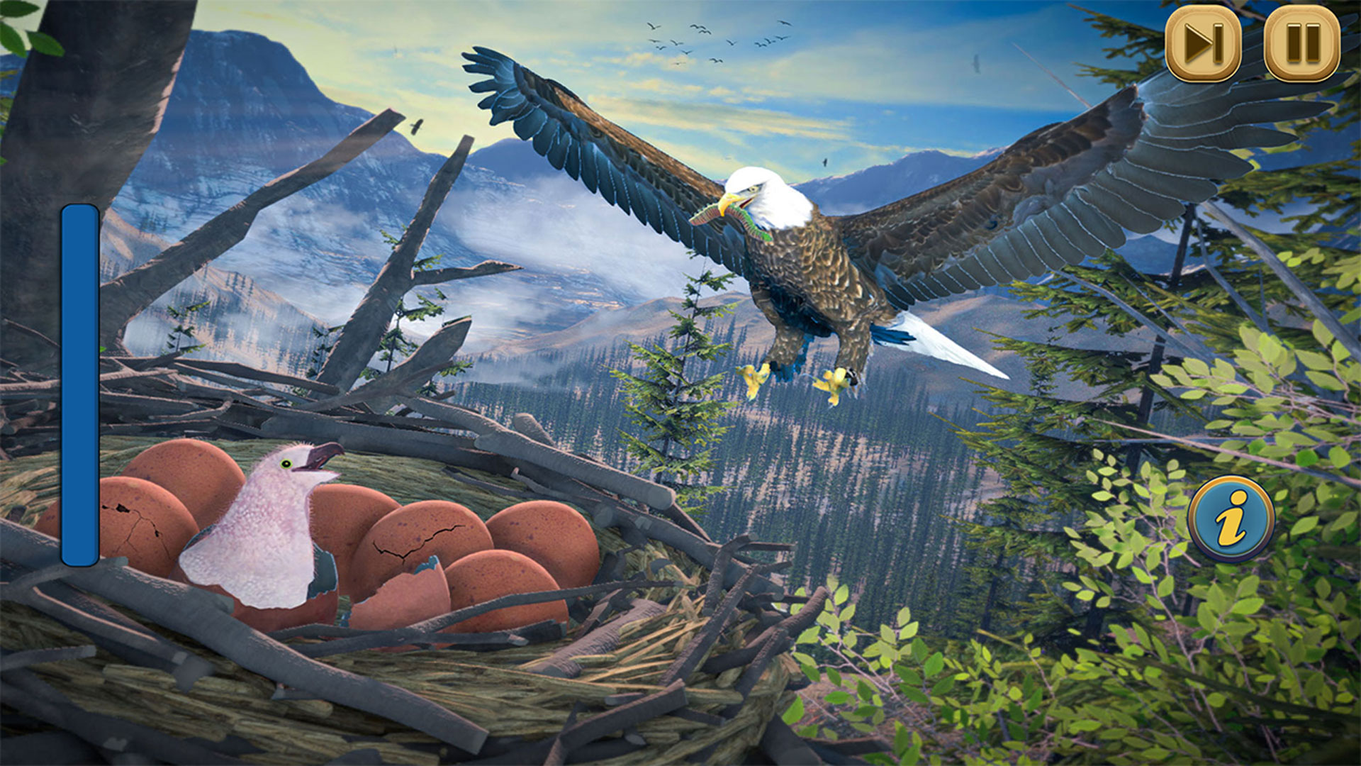 Forest Big Bird Eagle Simulator 3d game - App on Amazon Appstore