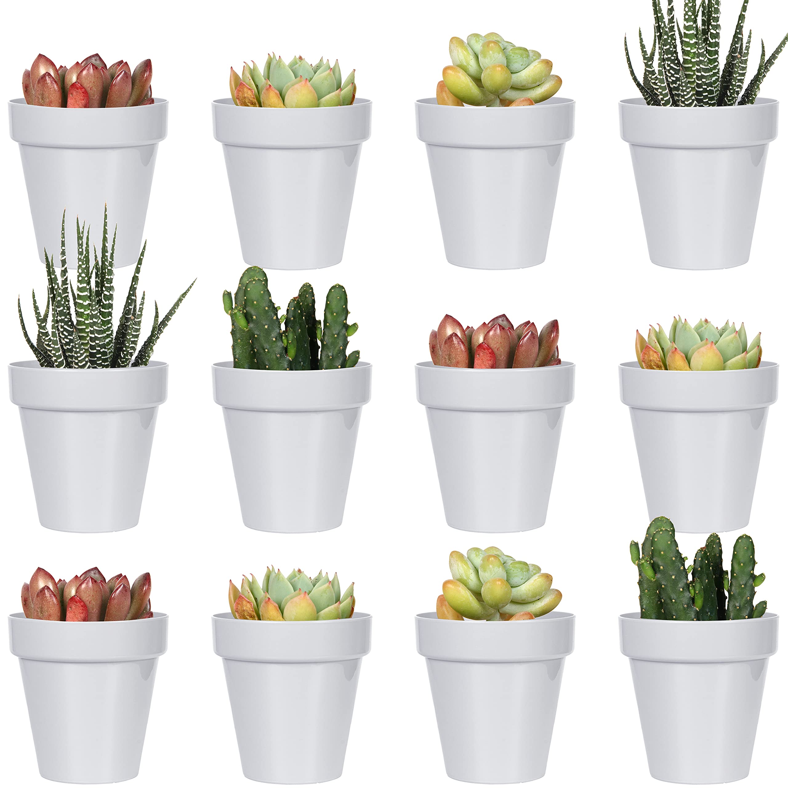 Amazon.com: Youngever 24 Pack 2 Inch Mini Plastic Planters, Indoor ...