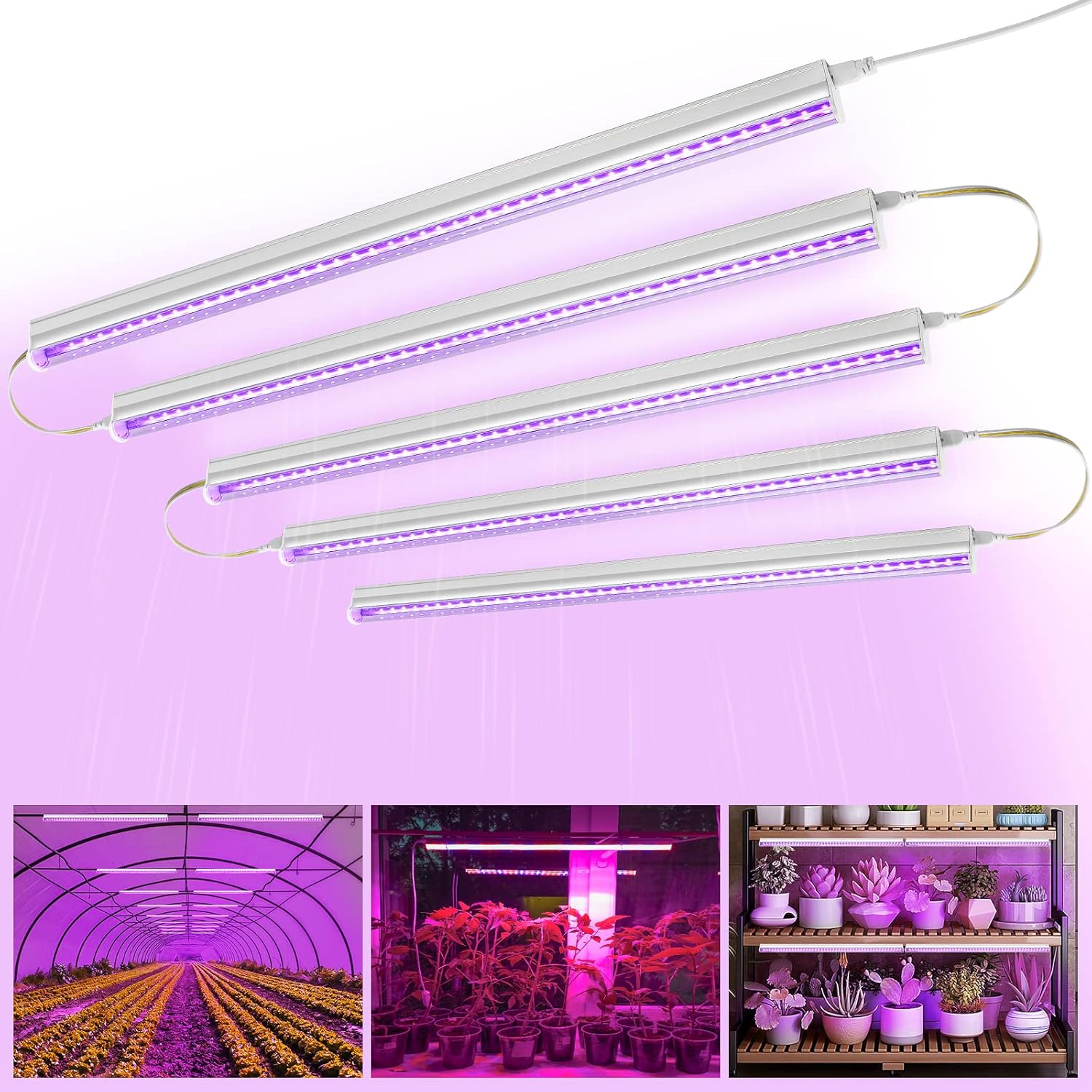 Amazon.com : Otryad T5 Grow Light 2FT, Full Spectrum Grow Lights for ...