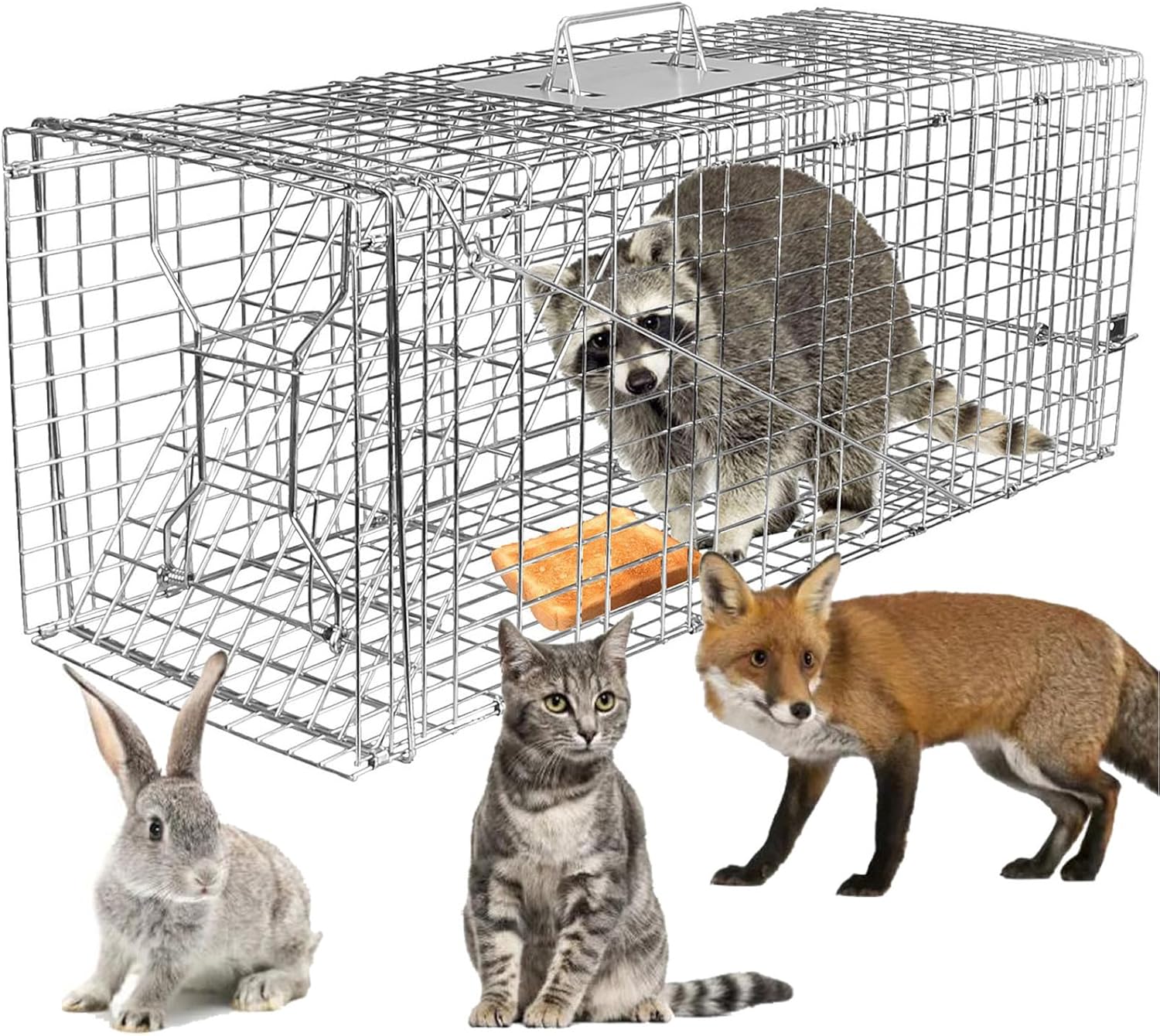 Amazon.com : KOCASO Large Live Animal Trap Cage, Foldable Heavy Duty Humane Rat Trap for Indoor ...