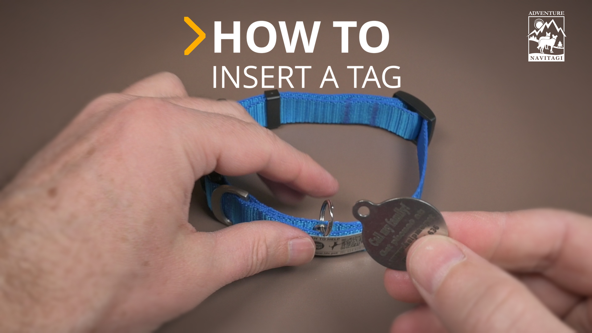 Watch How to attach a Rabies/License Tag to NaviTagi Collar on Amazon Live
