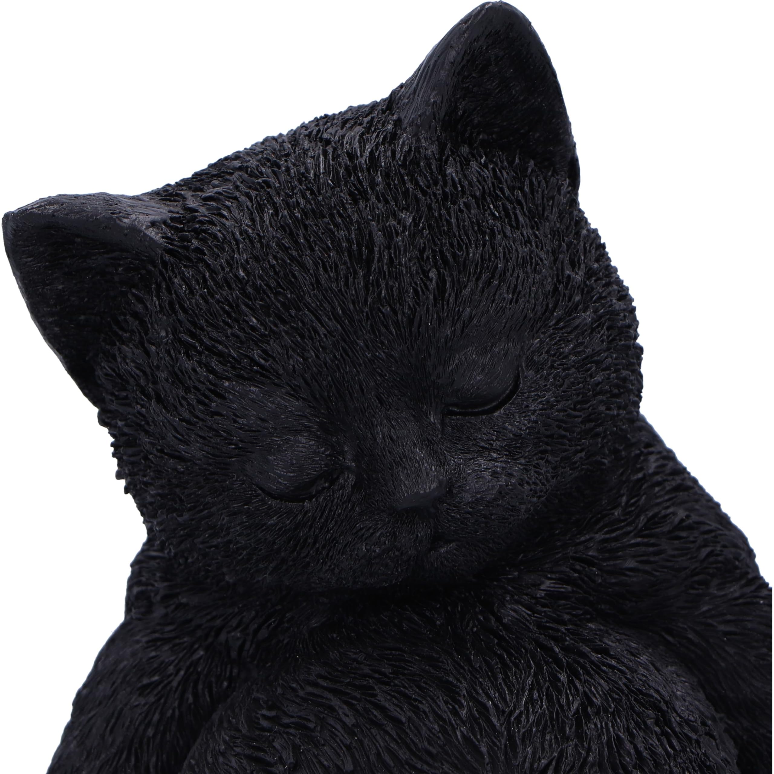 Modello Gatto Nero Adorabile Cartone Animato Grande Gatto Nero Gatto