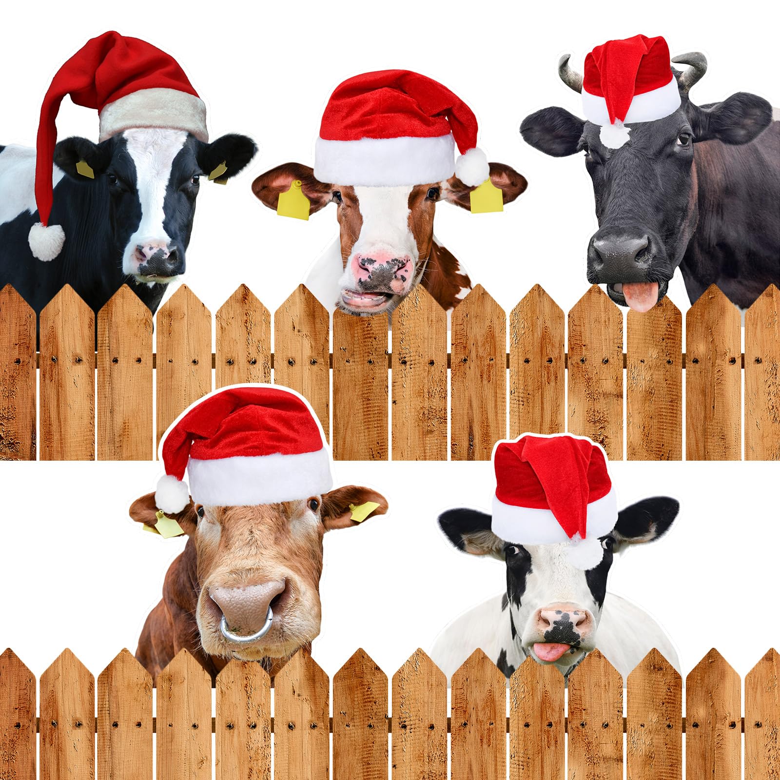 Funny Cow Peeking Over Fence