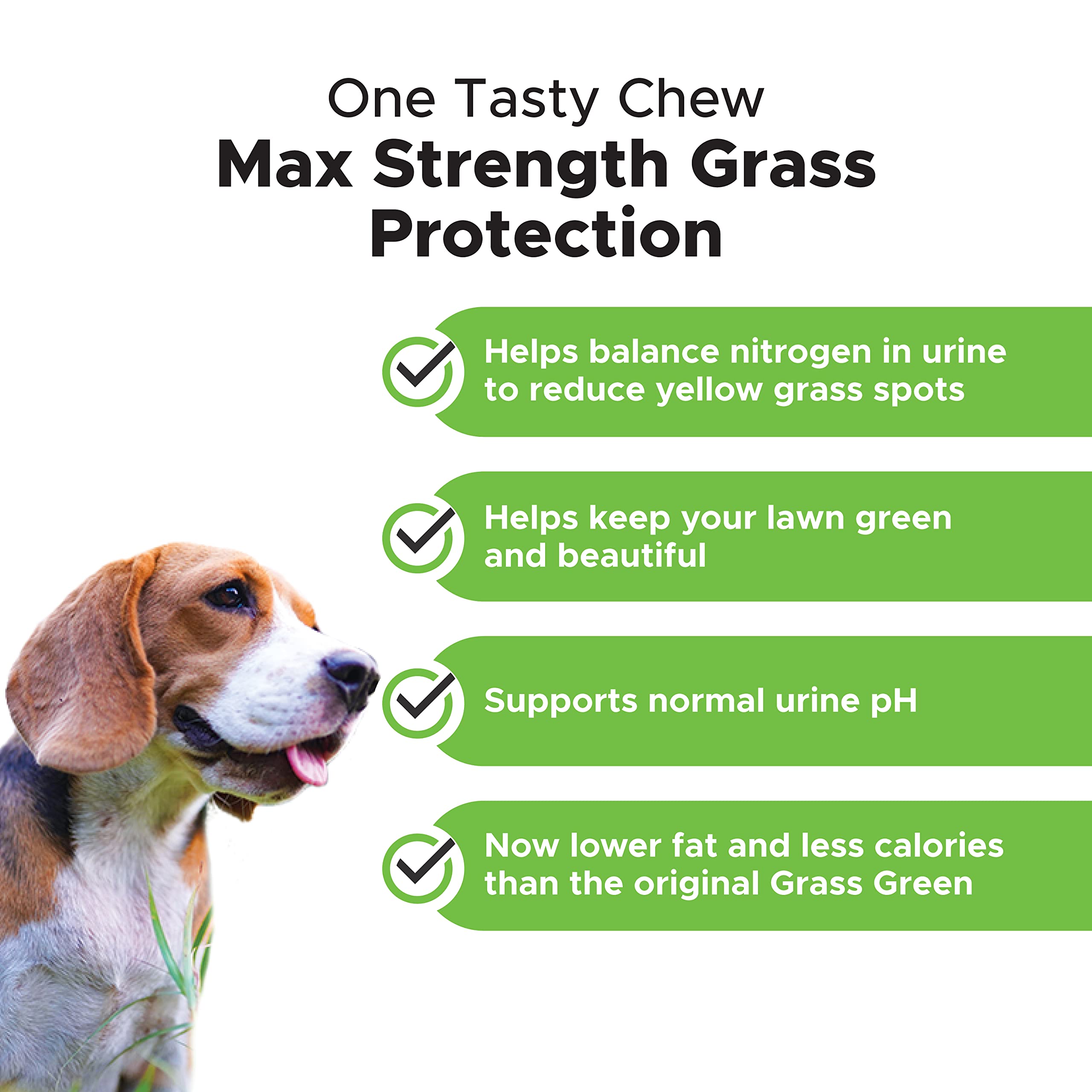 How Do I Lower My Dogs Ph