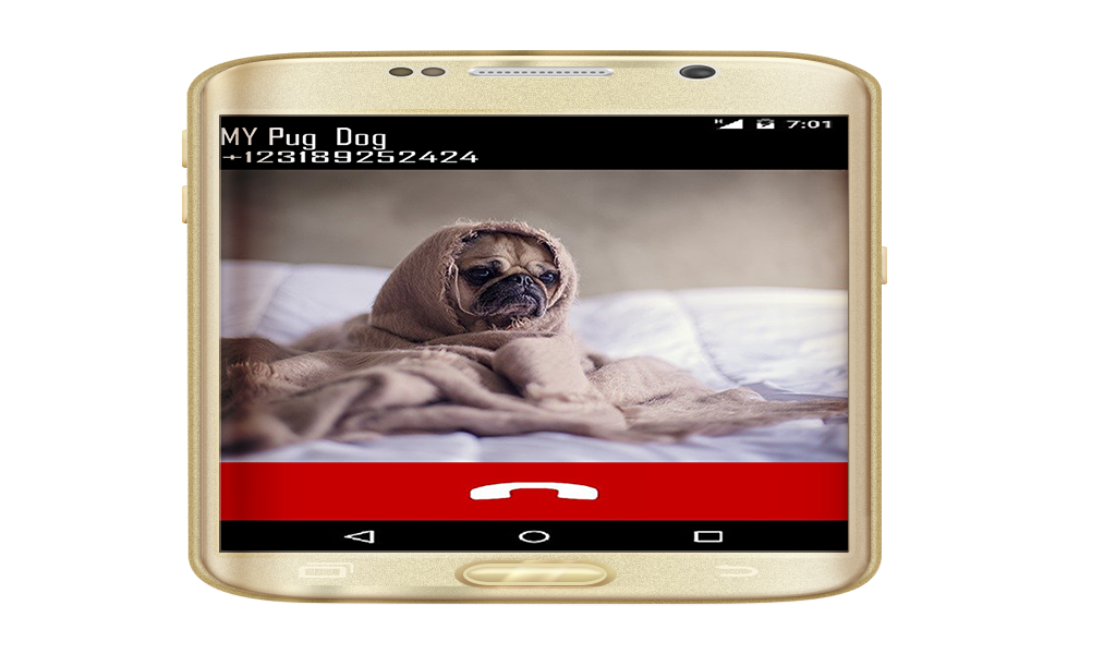 Pug Fake Call Prank ( Funny Pet Calling Prank ) - Gag fake Call from ...