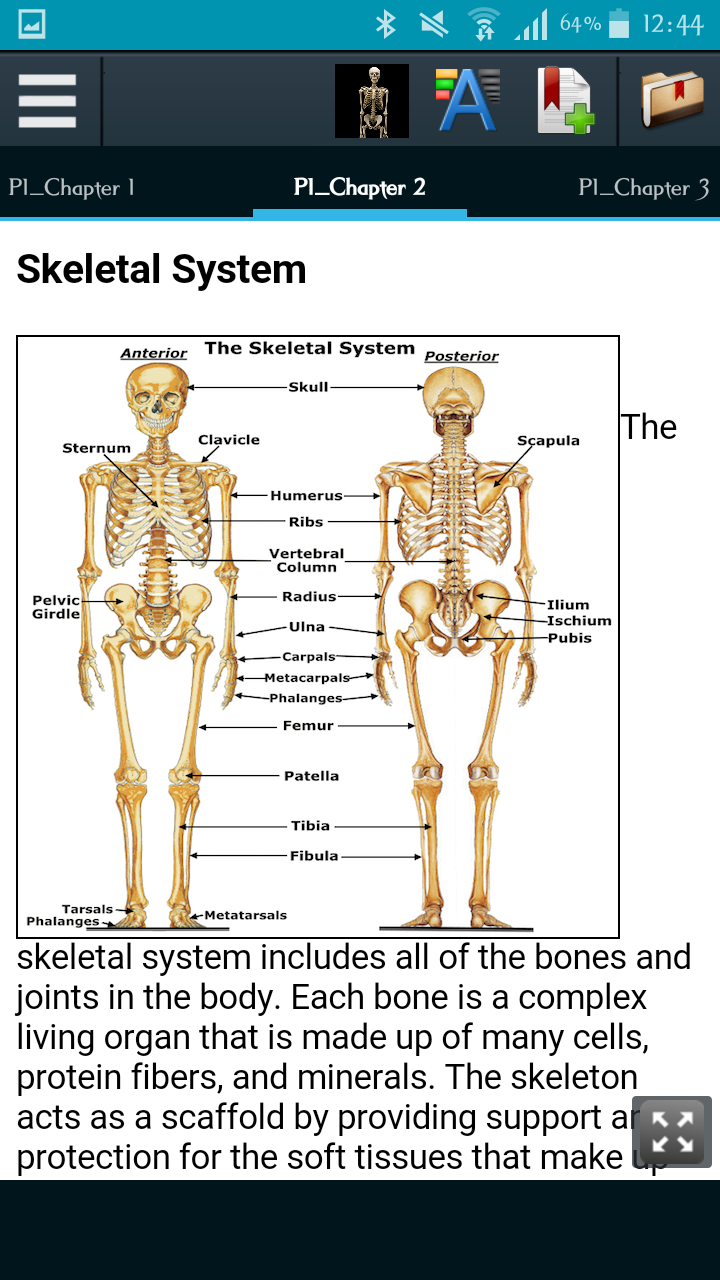 Human Anatomy - App on Amazon Appstore