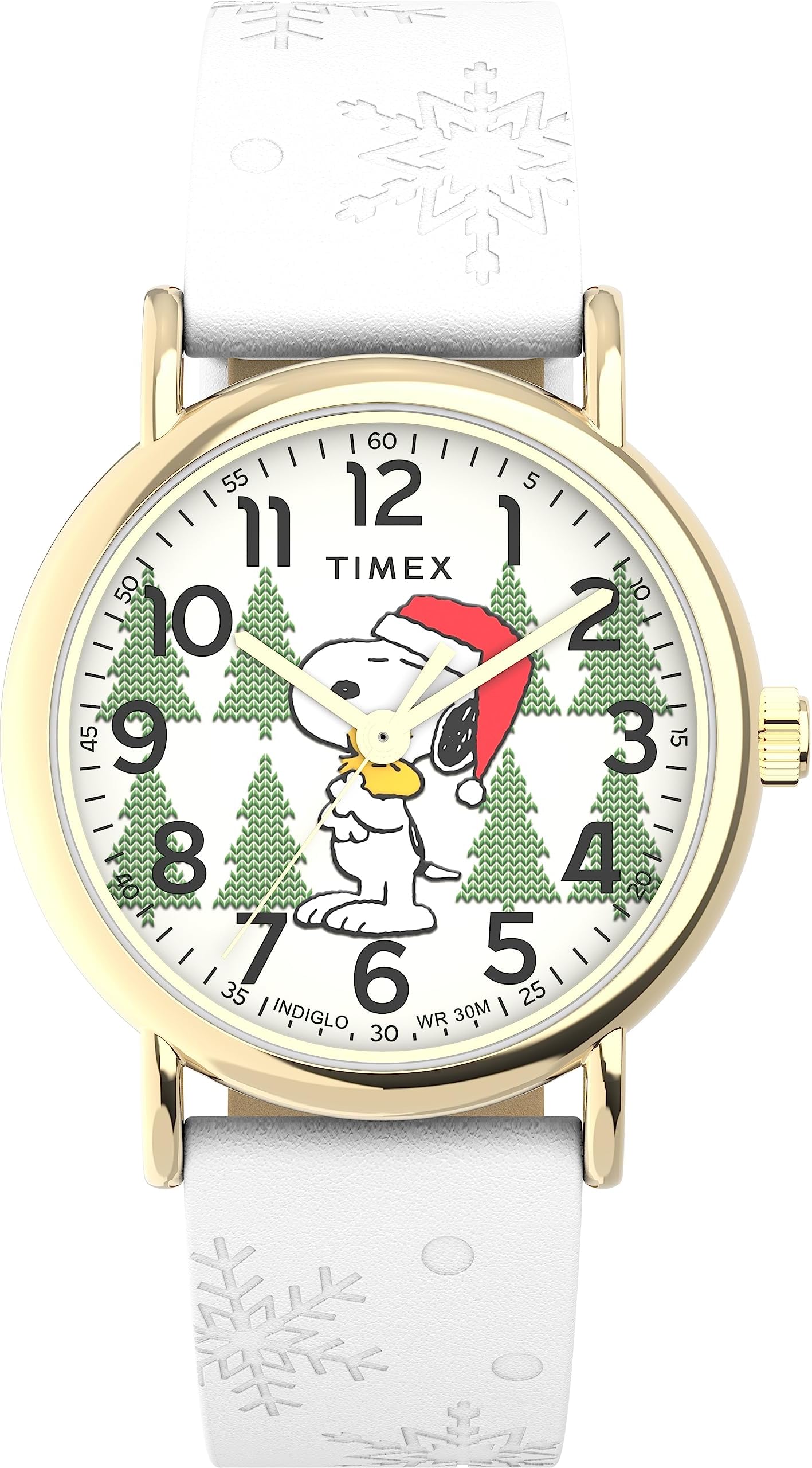 Timex Weekender x Peanuts Snoopy 38mm Quartz Watch TW2R41400 : Amazon ...