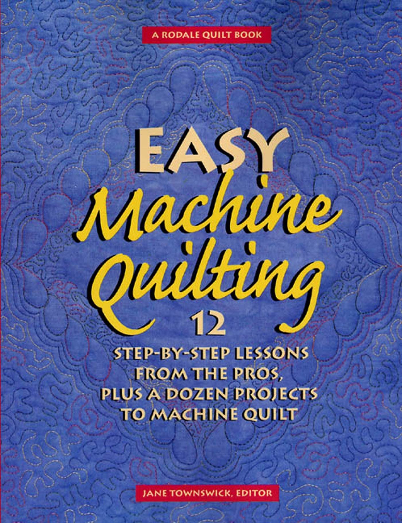 Easy Machine Quilting: 12 Step-by-Step Lessons from the Pros, Plus a ...