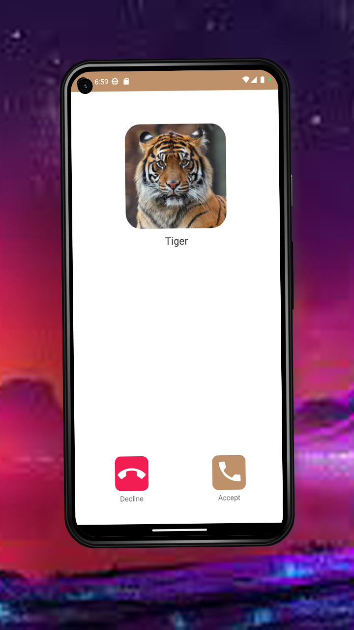 Incoming Video Call From Tiger Fake Video Voice Call & Texting ...
