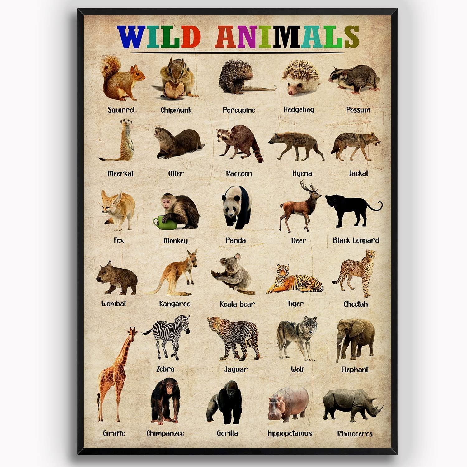 Wild Animals Pictures With Names And Information Wild Animals Name