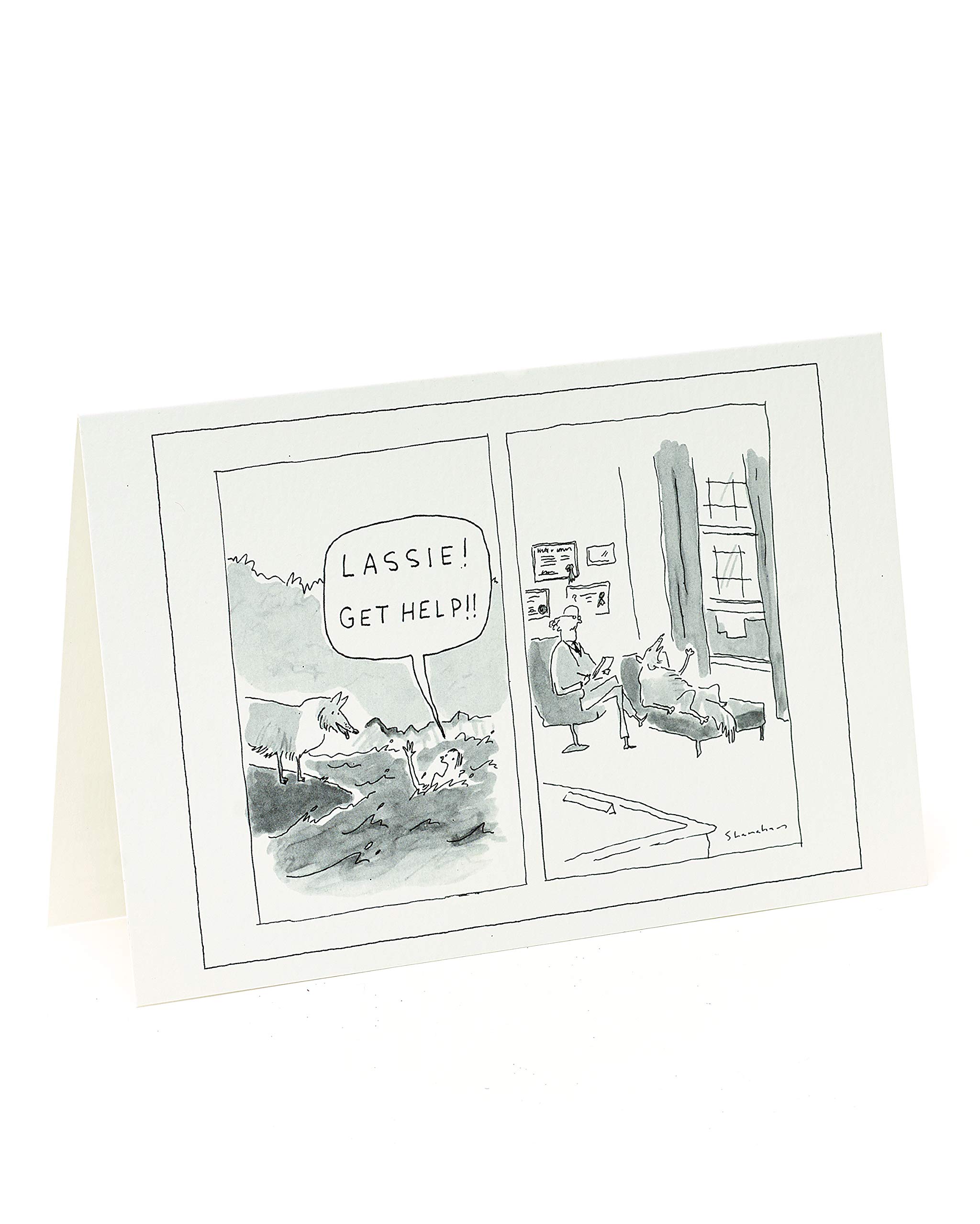 Lassie Get Help Cartoon