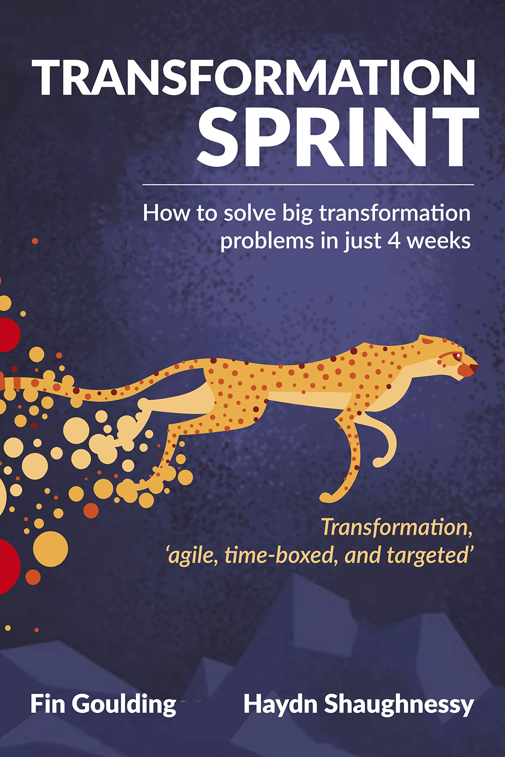 Buy Transformation Sprint: How to fix big transformation problems in ...