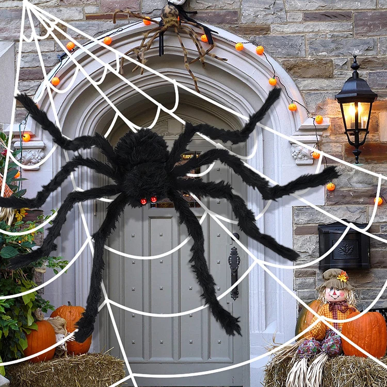Giant House Spider Web