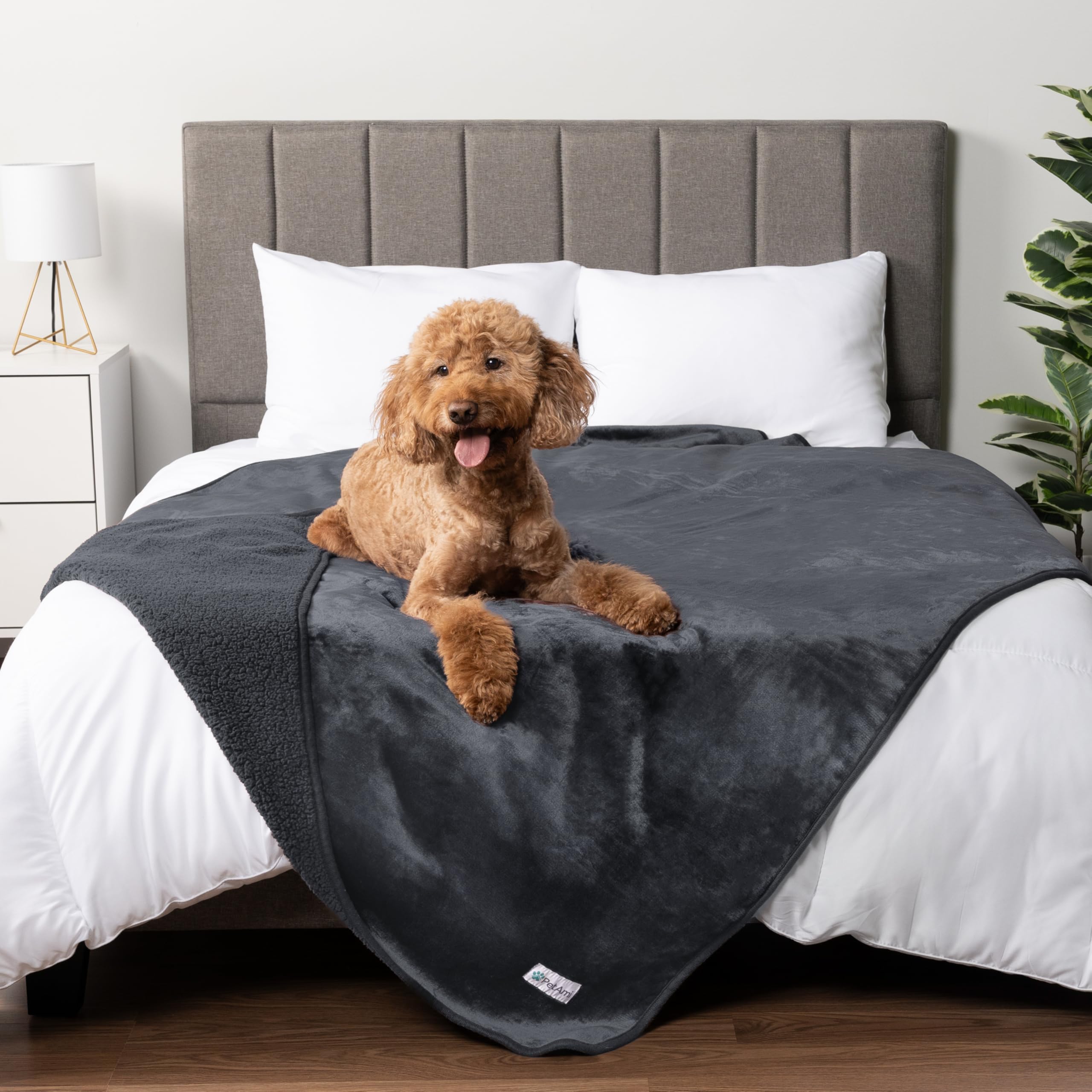 Amazon.com: PetAmi Waterproof Dog Blanket for Extra Large Dogs, Pee ...