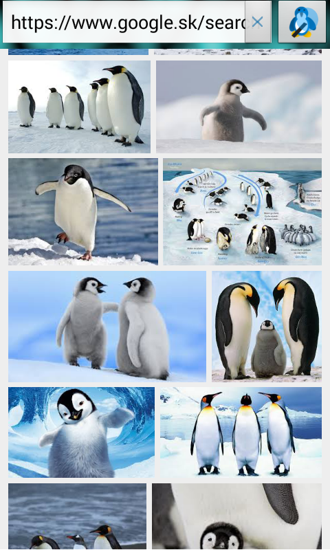 Penguin browser:Amazon.de:Appstore for Android