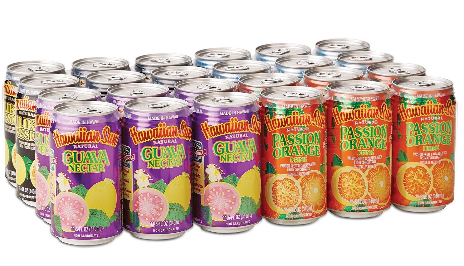 Amazon.com : Hawaiian Sun Tropical Fruit Drinks 11.5 fl oz Cans ...