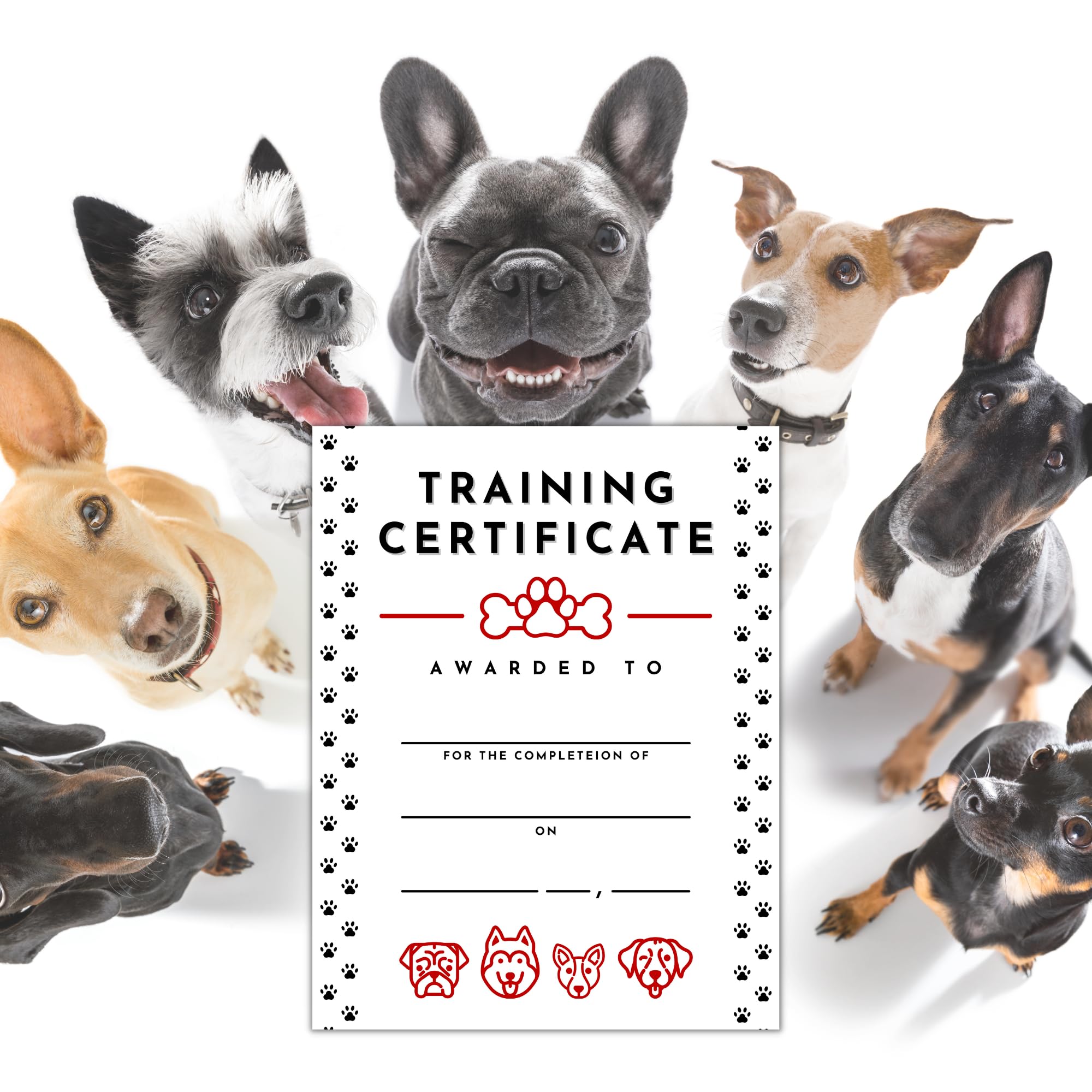 Dog Graduation Certificates Dog Training Certificate Template,