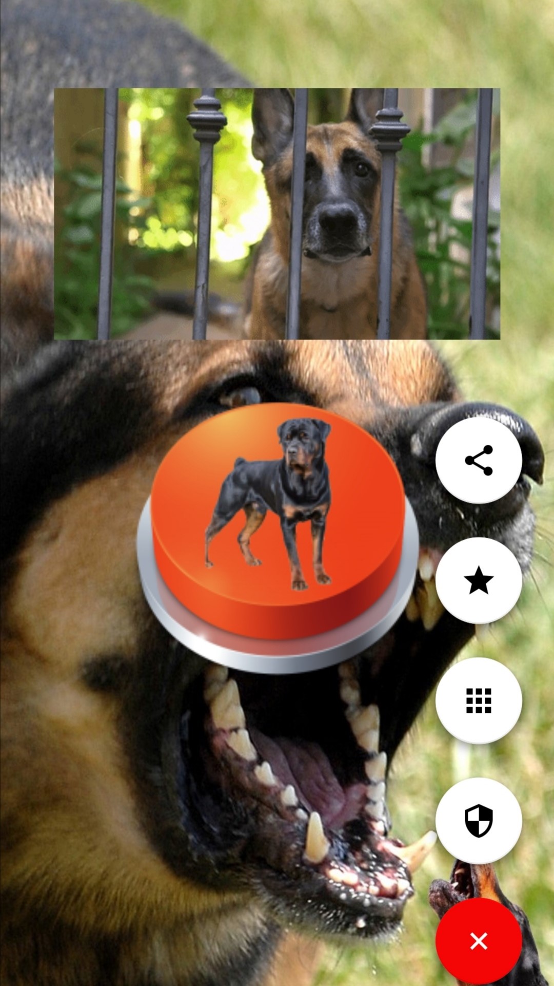 Dog Barking Sound - App on Amazon Appstore