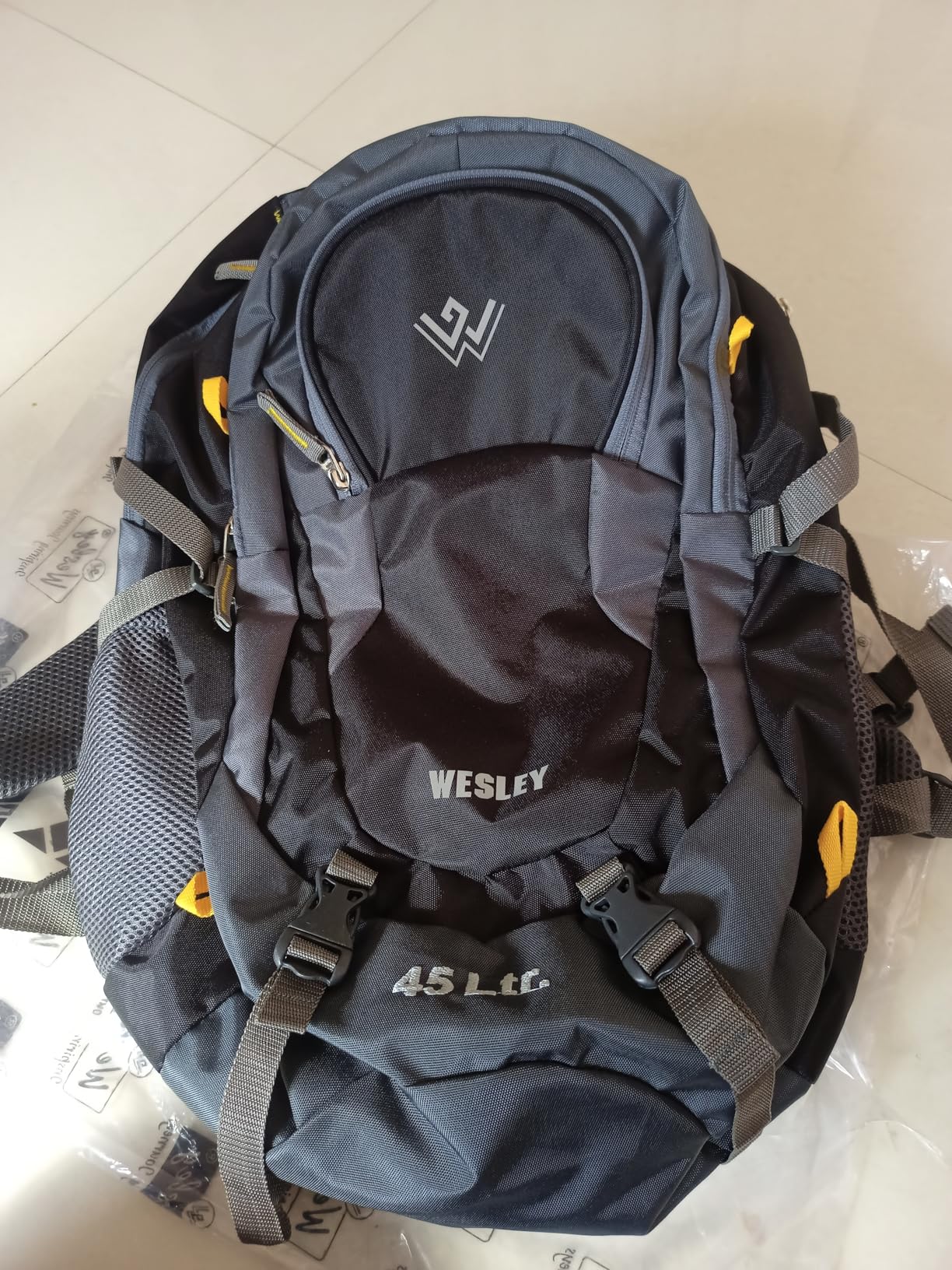 Wesley Spartan Unisex Travel Hiking Laptop Bag fits Upto 17.3 inch with ...