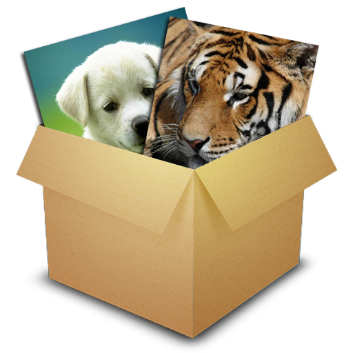 10 Best Animals Puzzle Boxes - BabyStuffLab