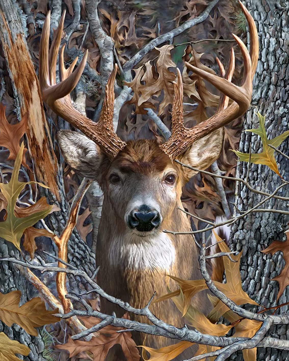 TISHIRON Animals Paint by Numbers Deer Paint by Numbers for Adults ...