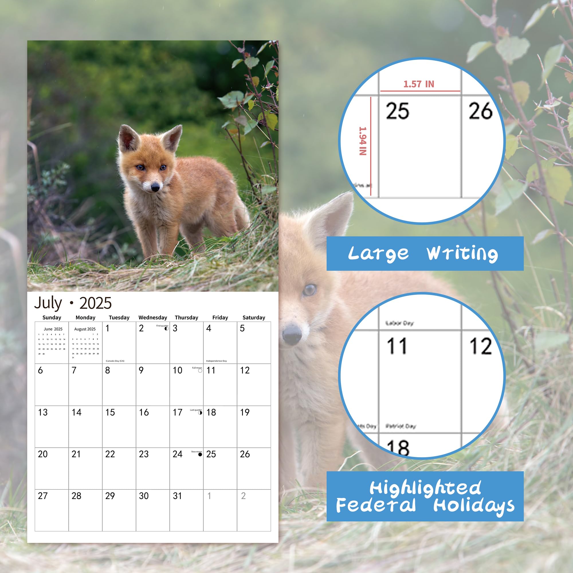 Snapklik.com : Windrio 2026 Wall Calendar, Calendar 2026, July 2025 ...