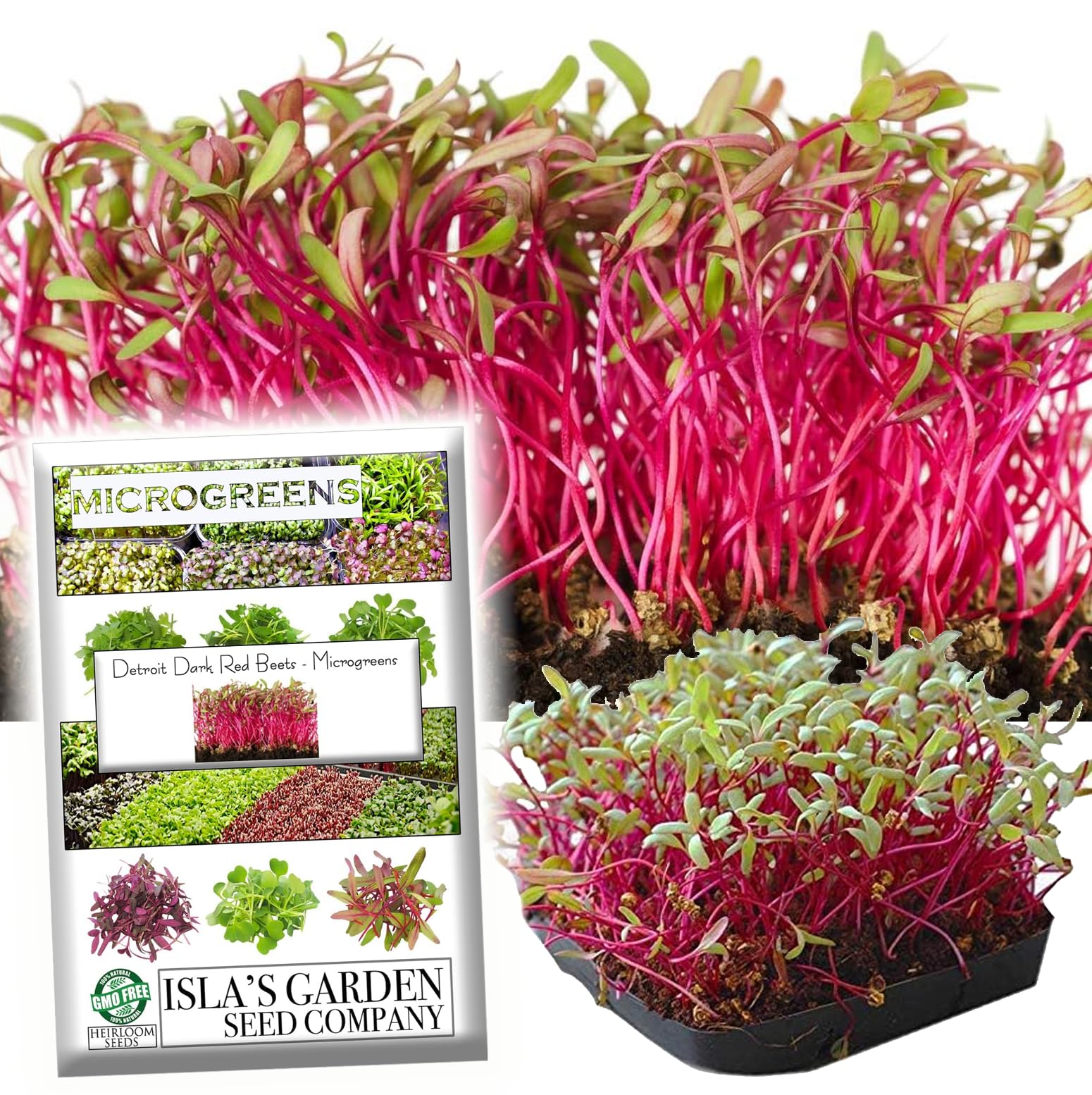 Amazon.com : Detroit Dark Red Beet Microgreens Seeds for Planting, 100 ...