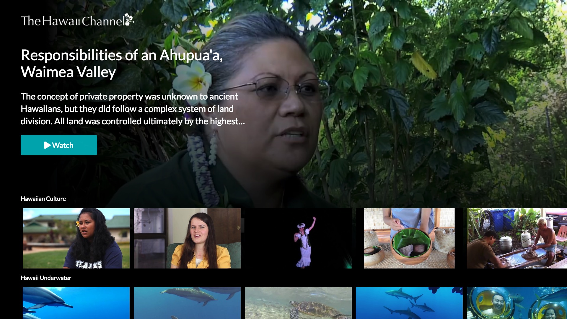 The Hawaii Channel-Amazonアプリストアのアプリ