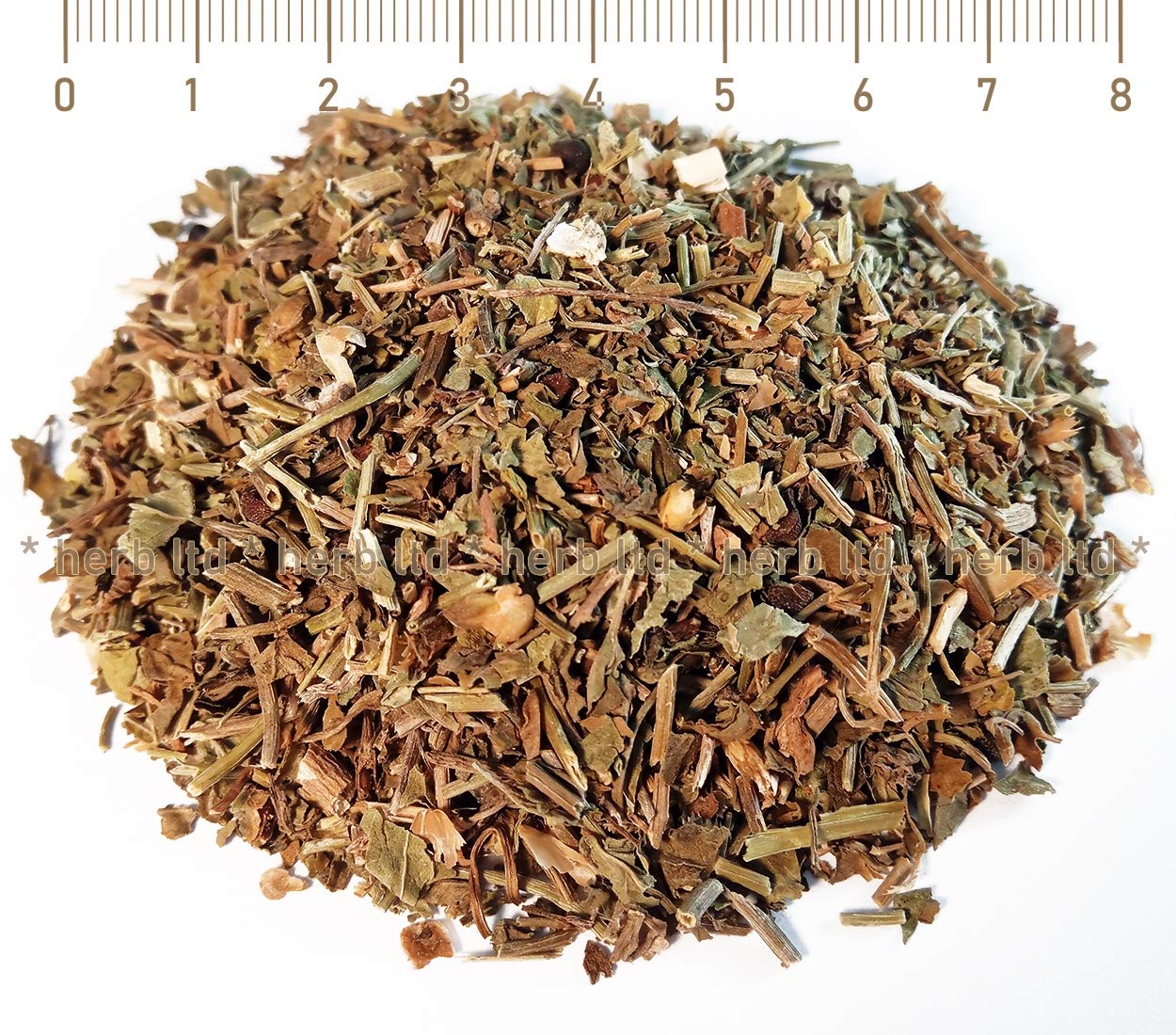 Winde Prunk, Convolvulus Arvensis, Kräuter Stängel : Amazon.de ...